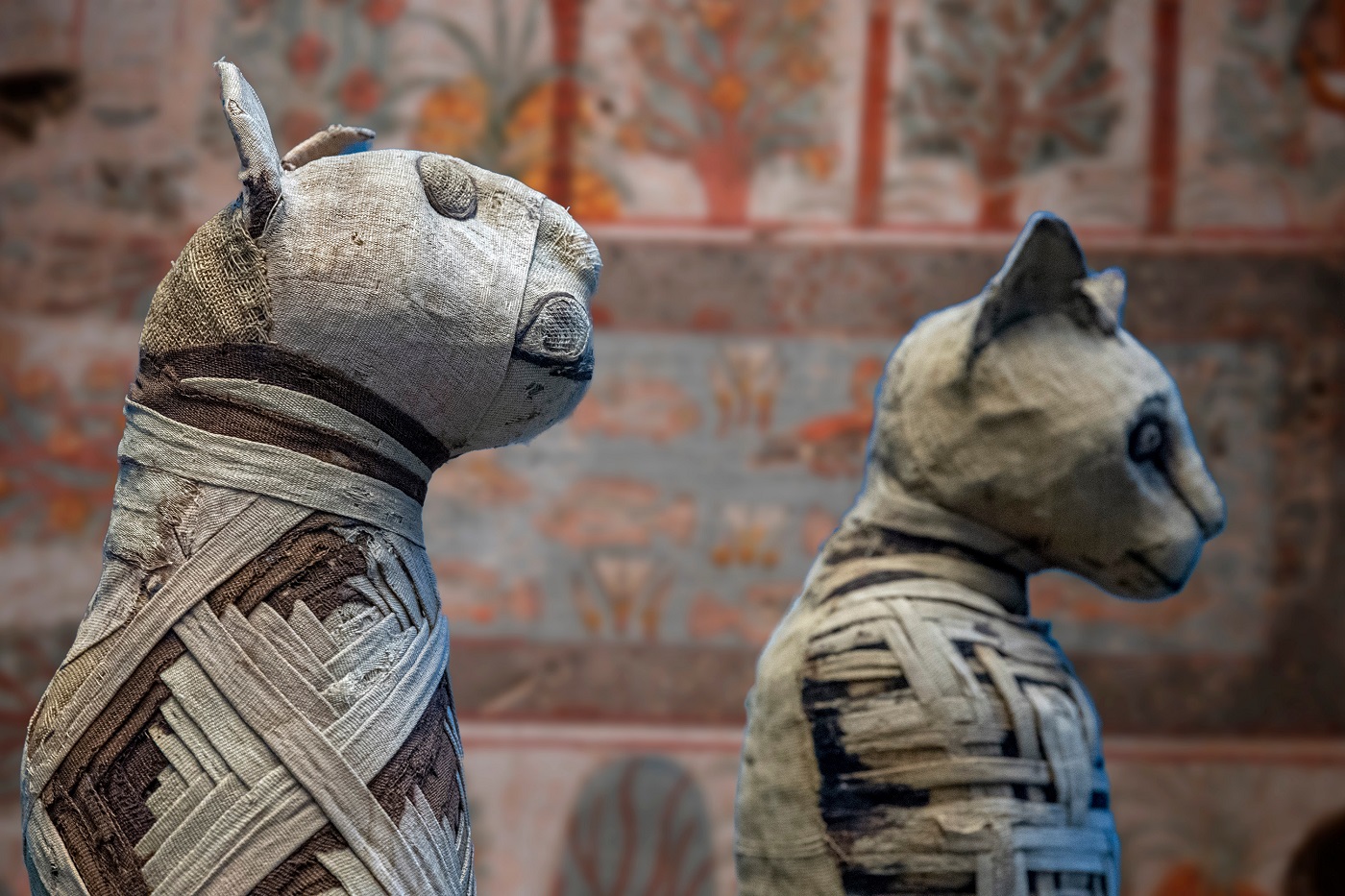 Chat en Égypte antique : retour sur l'histoire des félins sacrés